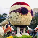 swaley 喺Carousell出售嘅商品