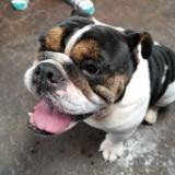 cheyenne_goh's items for sale on Carousell