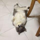 Anthony Lo 喺Carousell出售嘅商品