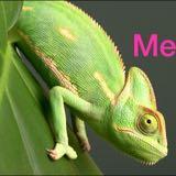 ehhee's items for sale on Carousell