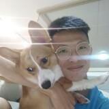 Chee Yong Tan's items for sale on Carousell