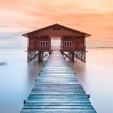 shadowmon 喺Carousell出售嘅商品