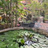 tirgon's items for sale on Carousell