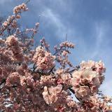 Heidi Tam 喺 Carousell 嘅個人檔案頁面 | Heidi Tam 嘅所有出售物品同評價