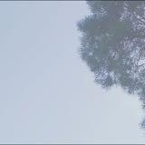 weheee 喺Carousell出售嘅商品