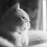 Xavier Lam 喺Carousell出售嘅商品