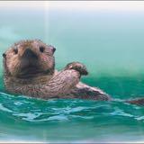 KM KMMMM 喺Carousell出售嘅商品