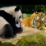 Steven Tan's items for sale on Carousell