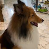 chachoo's items for sale on Carousell