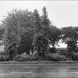 Ooi Teng Kiat's items for sale on Carousell