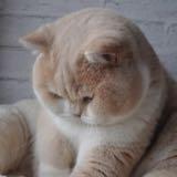 cl4ped's items for sale on Carousell