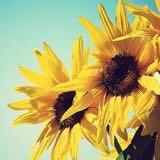 Jean Kwek's items for sale on Carousell