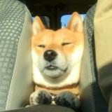 mayhaps's items for sale on Carousell