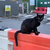 _jlllll_'s items for sale on Carousell