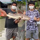 Joshua Soo's items for sale on Carousell