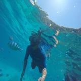 Dely’s Profile Page on Carousell | All of Dely’s Items For Sale & Reviews