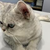 fffxxx's items for sale on Carousell