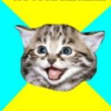 Taylor swift reputation vip box 出售 | Carousell Hong Kong