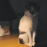 Daniel Loo's items for sale on Carousell