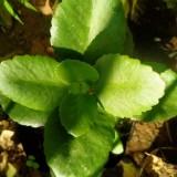 2+in+1+laundry+machine - View all 2+in+1+laundry+machine ads in ...