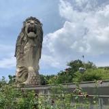 Benson Goh's items for sale on Carousell