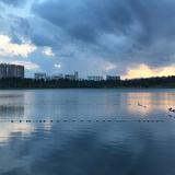 Poh Hui Qing's items for sale on Carousell