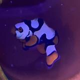 benny.lo 喺 Carousell 嘅個人檔案頁面 | benny.lo 嘅所有出售物品同評價