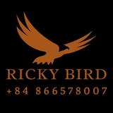 Ricky Bird Shop's items for sale on Carousell