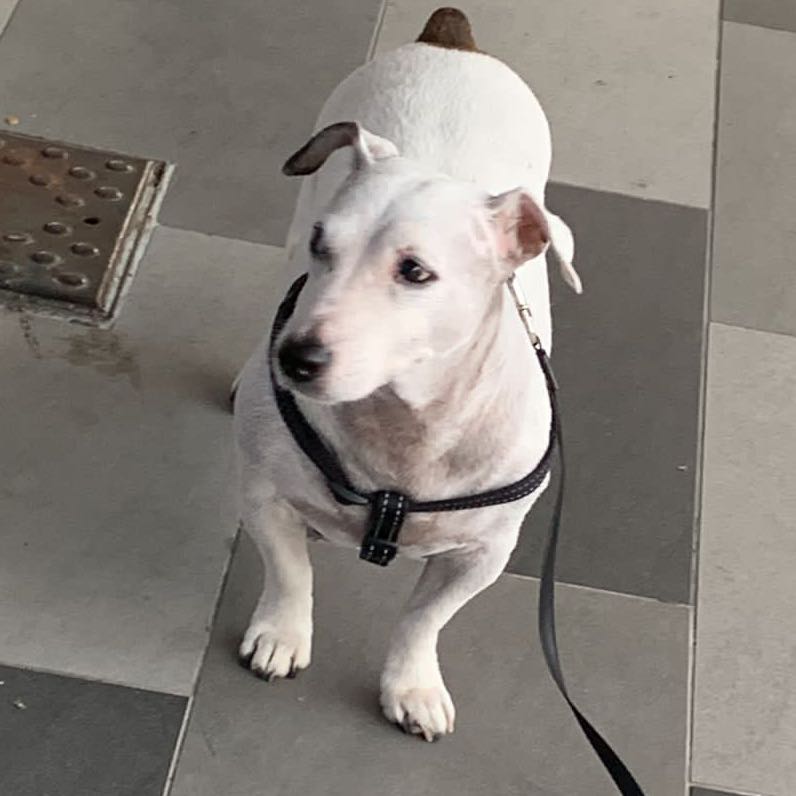 jade’s Profile Page on Carousell | All of jade’s Items For Sale & Reviews