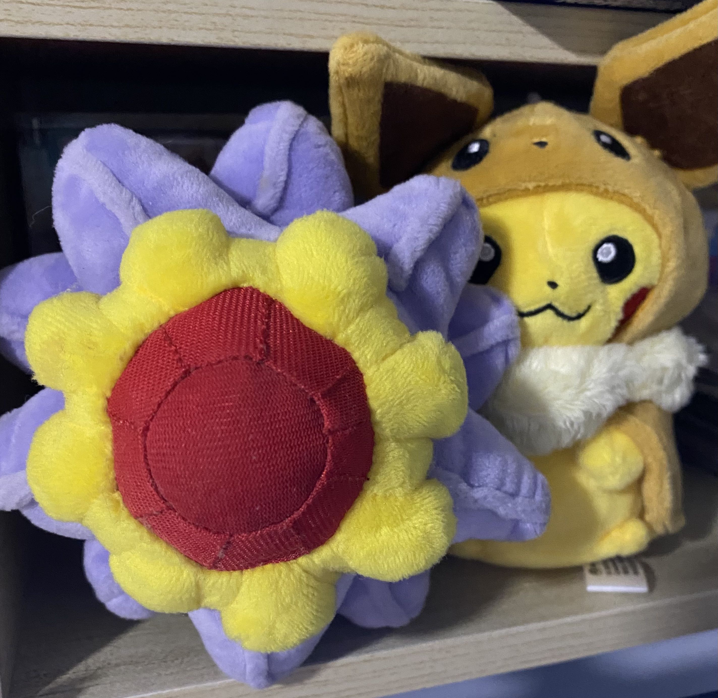 Pikachu poncho box For Sale | Carousell Singapore