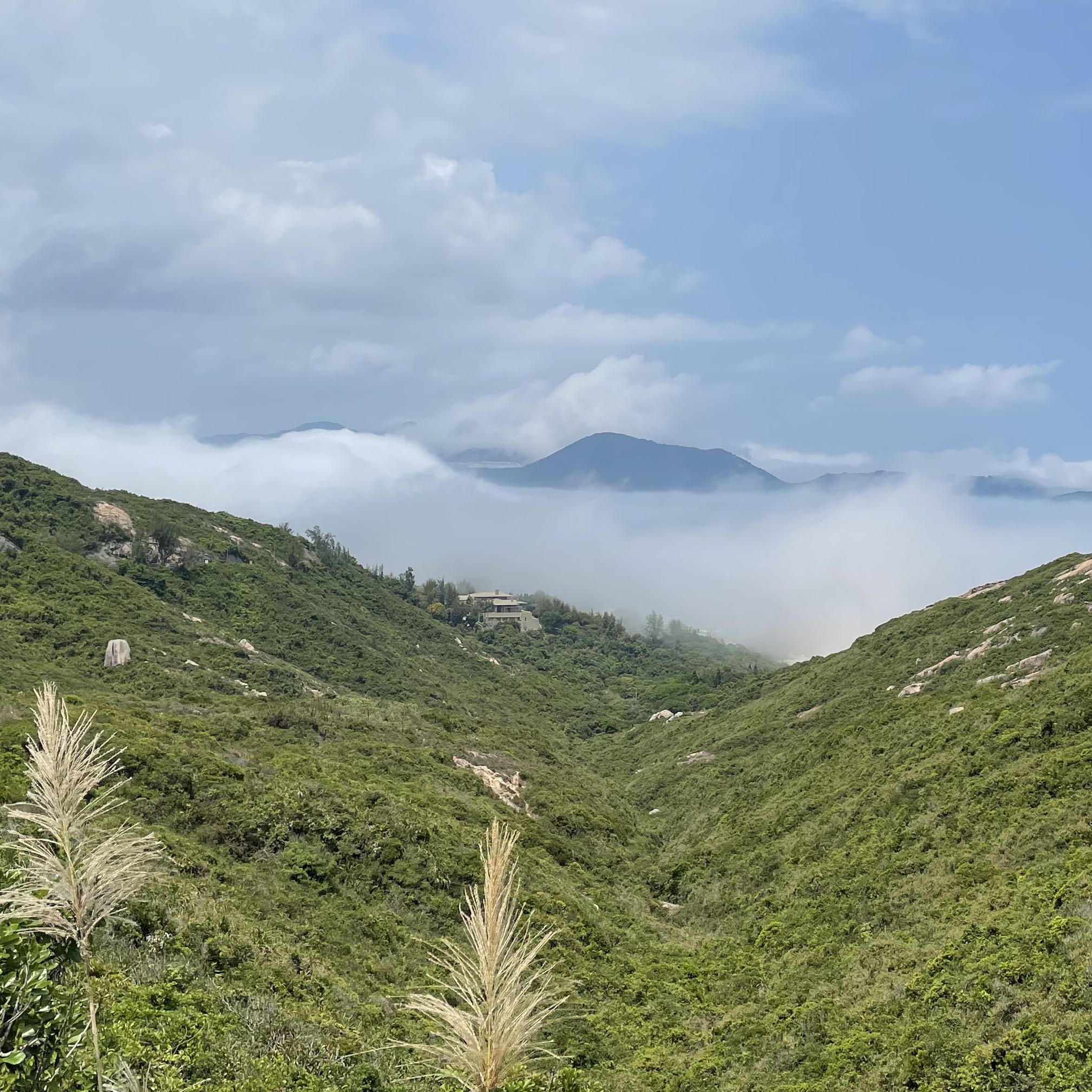 全新[禮物🎁]Comfee 電磁爐 CIC-20GGTLA0, 家庭電器, 廚房電器, 抽油煙機及爐頭 - Carousell