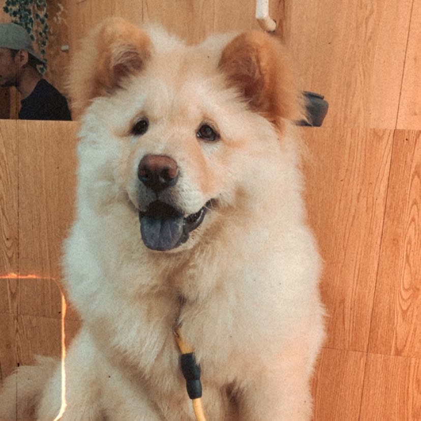 advertisement+-+for+sale - View all advertisement+-+for+sale ads in ...