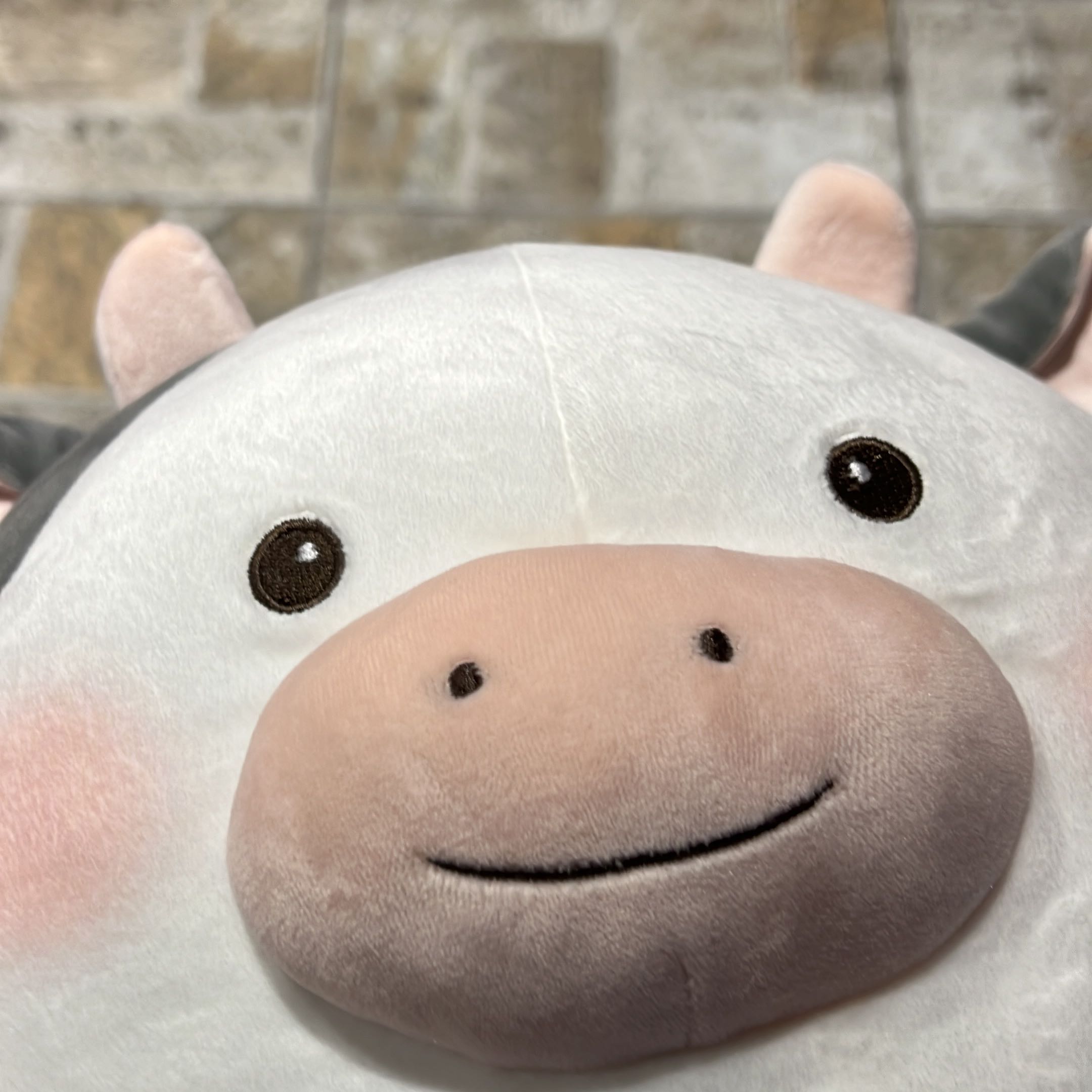 blaaah's items for sale on Carousell