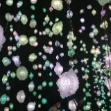 Barbara bb 喺Carousell出售嘅商品