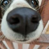 「Nami L 在旋轉拍賣上的個人檔案頁面 | Nami L 的所有銷售商品和評論」