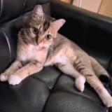 Fanny Ip 喺Carousell出售嘅商品