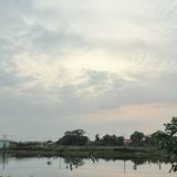 21/1 張學友演唱會 980 兩連 （可一齊拎飛）, 門票＆禮券, 活動門票 - Carousell