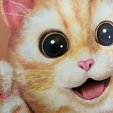 Blue Sack Sakoline Laminated Sheet Sacoline Sakolin, Commercial ...