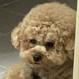 Thomas 喺 Carousell 嘅個人檔案頁面 | Thomas 嘅所有出售物品同評價