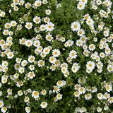 Sepeda Gunung 26 Mtb Rubick by UNITED Rs-14 Model Terbaru 3 X 7 Speed ...