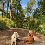 Used Mercedes Benz Cars for Sale | Carousell Philippines