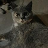 Ridhwan Haris's items for sale on Carousell