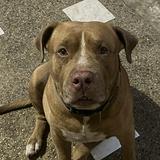 Francis Barbin's items for sale on Carousell