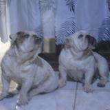 ISP bonanza prepaid internet cards, Hobbies & Toys, Memorabilia ...