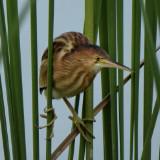 momok's items for sale on Carousell