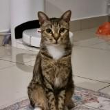 Sam Smith's items for sale on Carousell