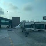 Bunga rampai in test tube For Sale | Stationery & Craft | Carousell ...