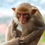 blackmonkey_2024's items for sale on Carousell