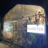 Humble Farm's items for sale on Carousell