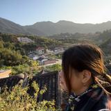 Acustop 40mg 1 pack x 6 sheets (10cm x 14cm) Analgesic Joint Back ...